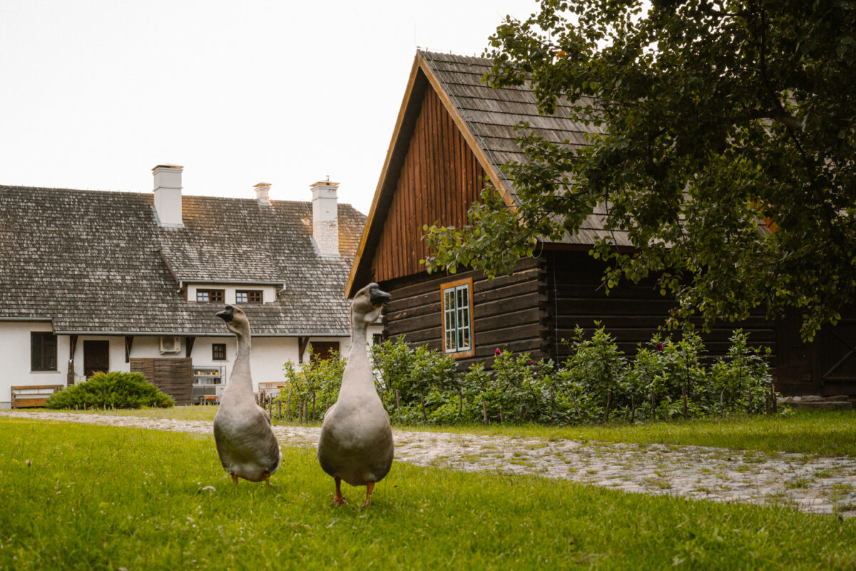 Wesele w stodole od A do Z – najpiękniejsze stodoły weselne